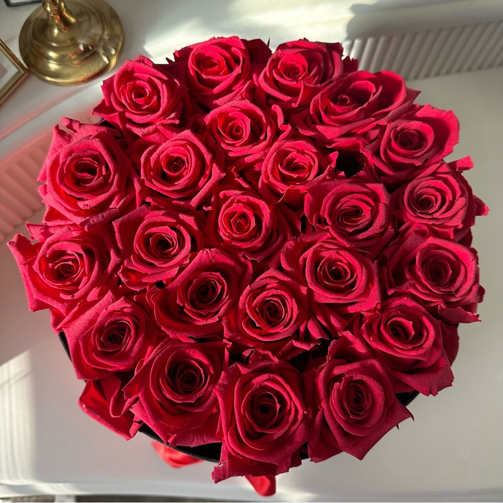 Magnificent Roses - 2 Dozen Preserved Red Roses - Gem
